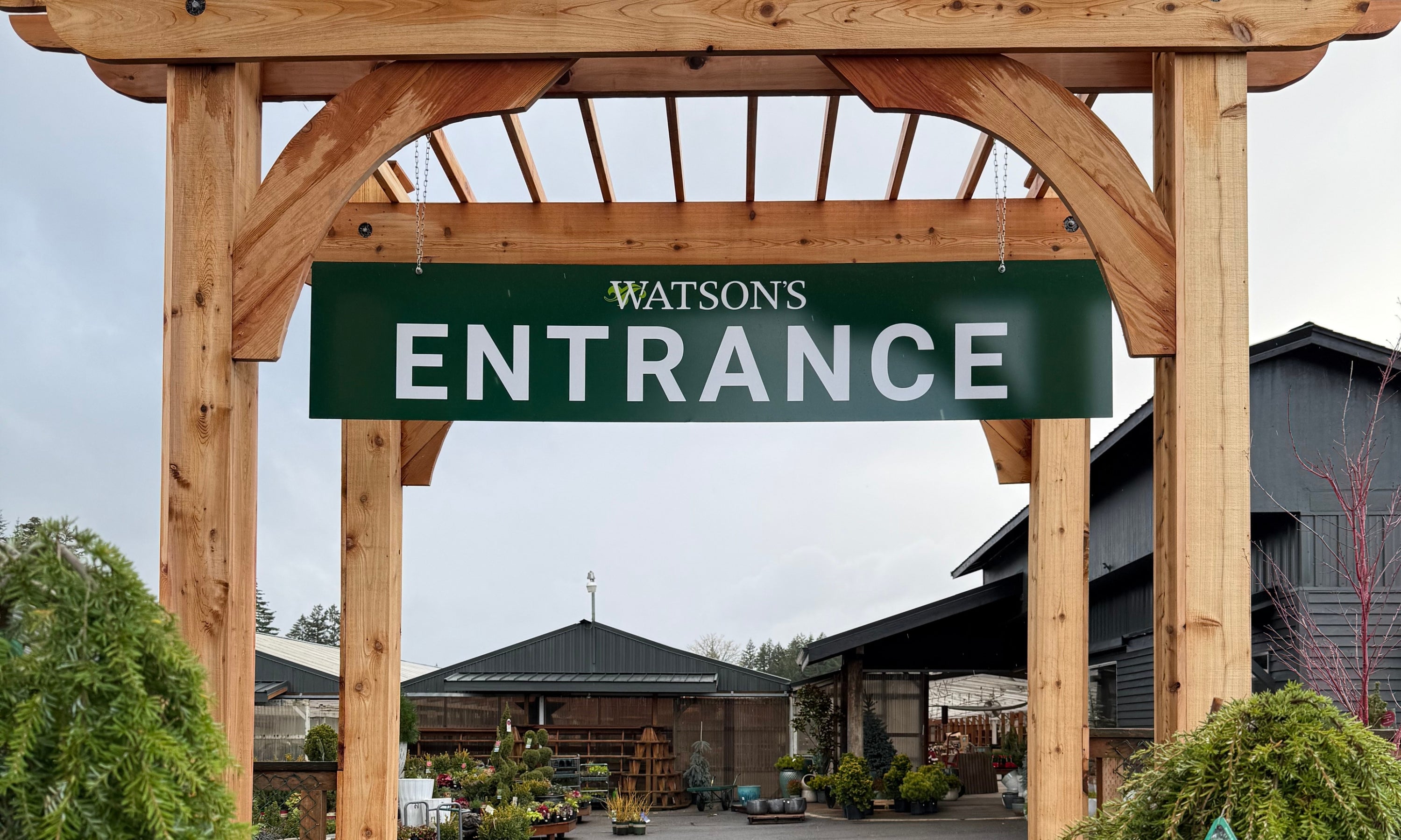 Olympia Watsons – Watson's Greenhouse