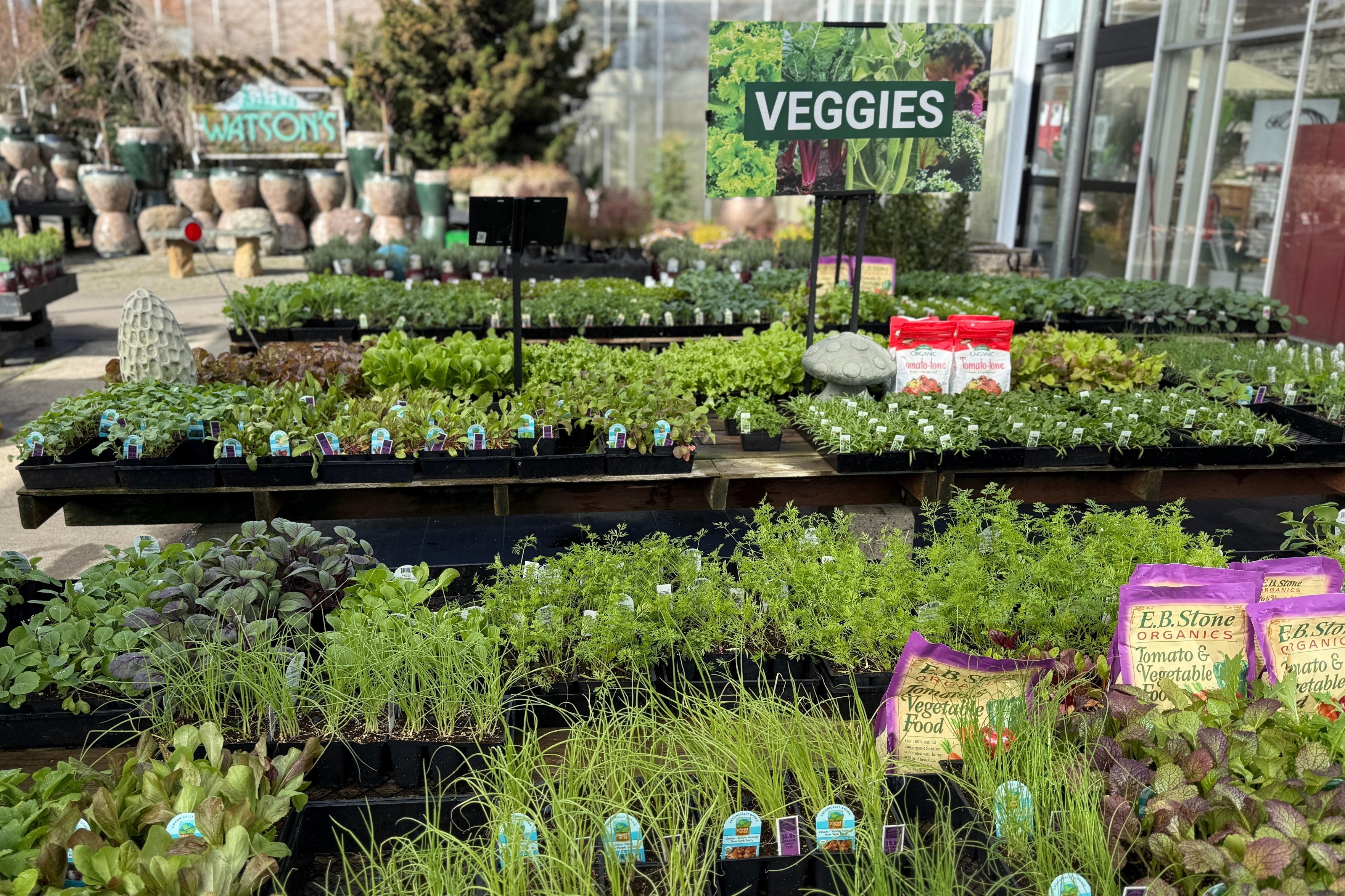 Watson's Greenhouse - Shop Online