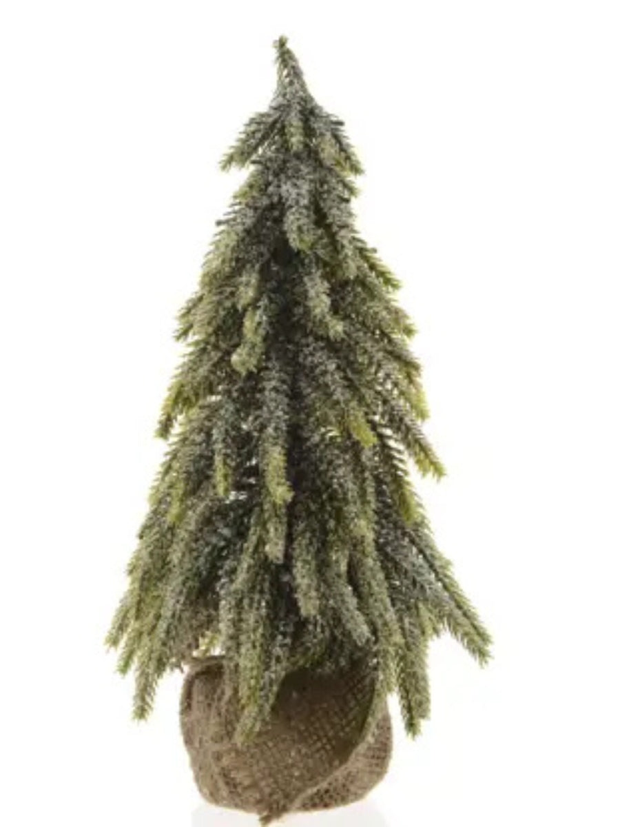 Mini Tree Indoor Green Watsons Greenhouse