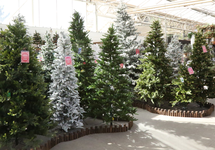 Watson's Greenhouse - Shop Online