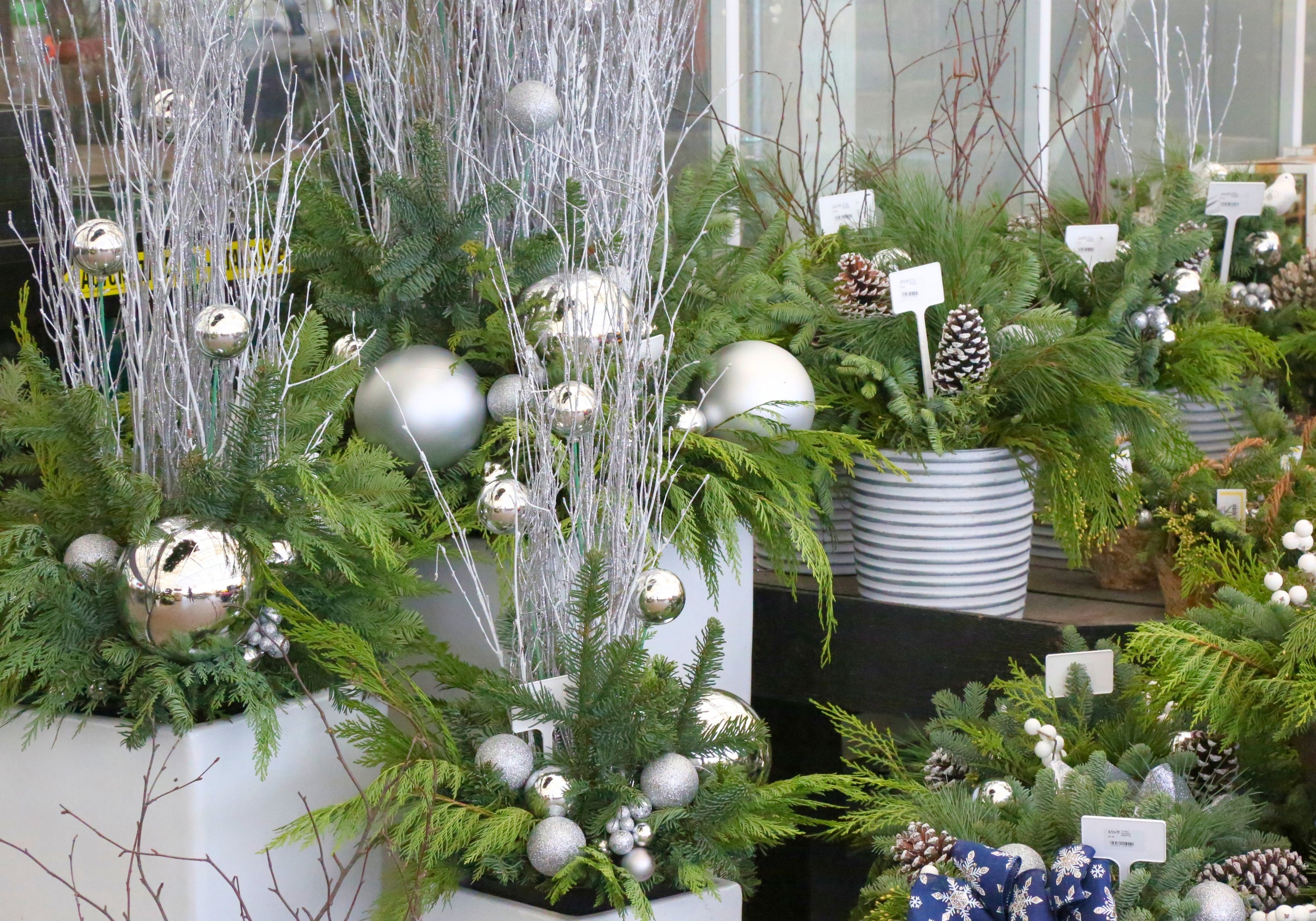 Watsons Original Designs – Watson's Greenhouse