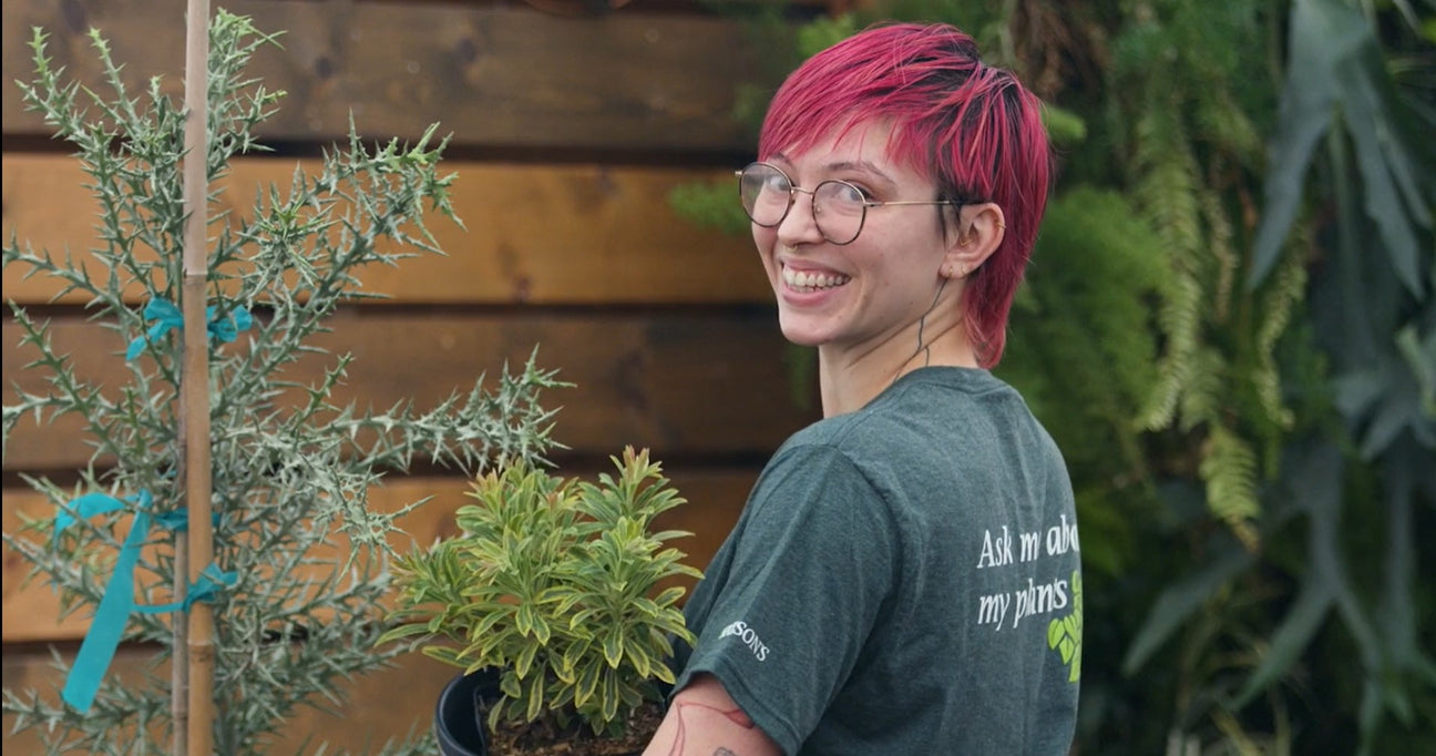 Expert – Watson's Greenhouse